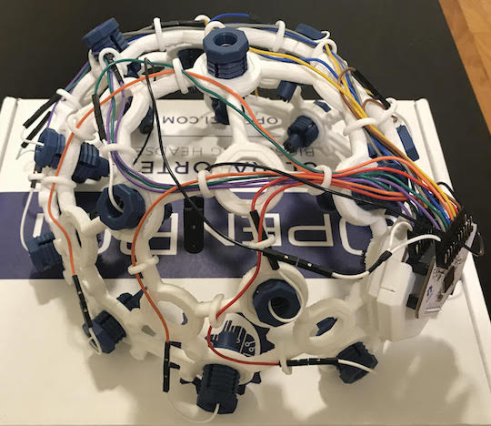EEG Setup - Todd’s Website